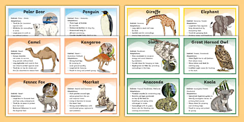 Adaptations Around Australia WebQuest | Year 5 Science