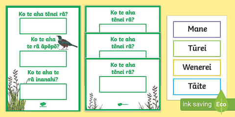 Botanical-Themed Today's Date Display Pack - Te Reo Māori