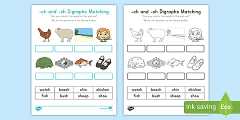 Digraphs Cut and Paste Activity Pack for 1st-2nd Grade