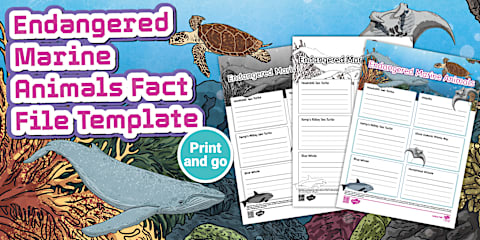 Sea Animals Fact File Template
