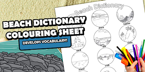 Camping Colour and Count Worksheet