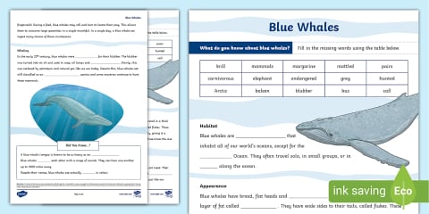 Whales Word Search