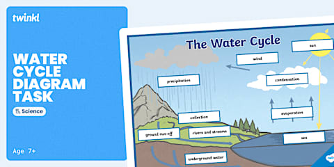 The Water Cycle Information Poster