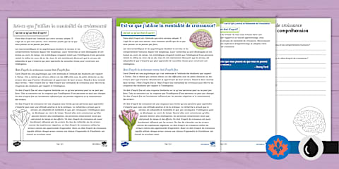 Growth Mindset in the Classroom Sorting Activity sheet French