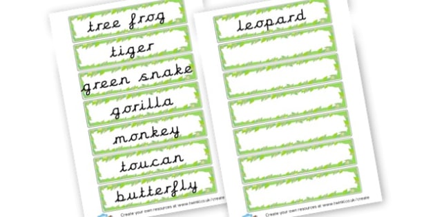 Tropical Animals Word Cards for Primary Classrooms