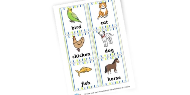 Animal Word Cards (teacher made)