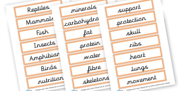 Animals including humans (teacher made)