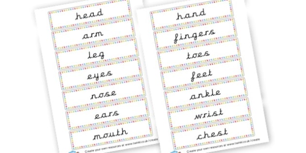 My Body labels (teacher made)