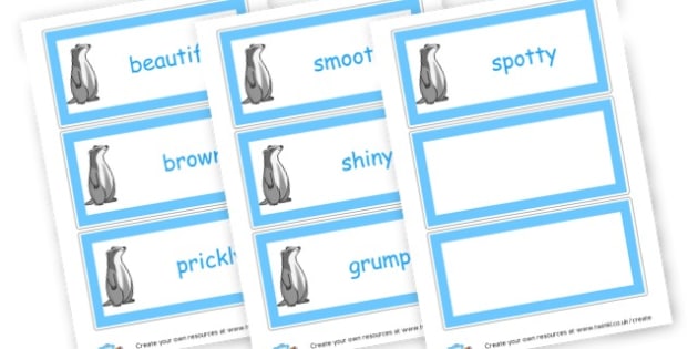 Adjectives Word Cards (teacher made)