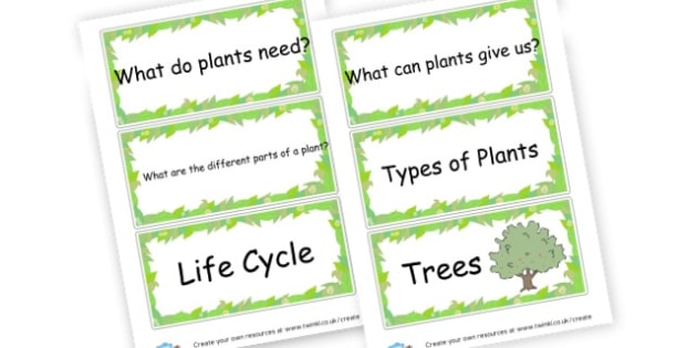 Plants (teacher made)