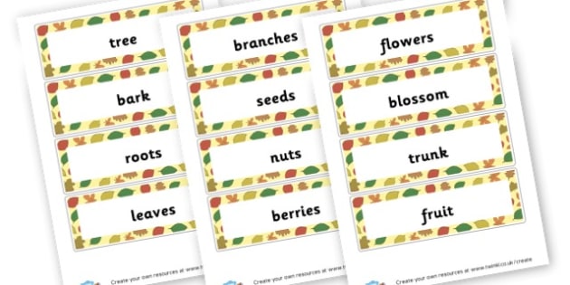 Trees (teacher made)