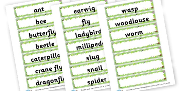 Minibeast Themed Labels