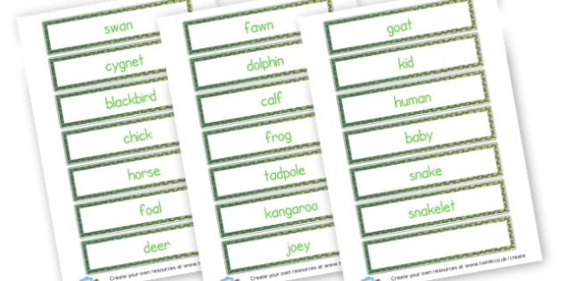 Animals and their Babies Word Cards (teacher made)