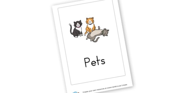 Pets (teacher made)