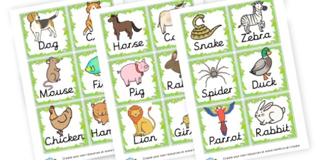 Animal cards