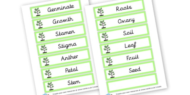 Plants Word Cards (teacher made)