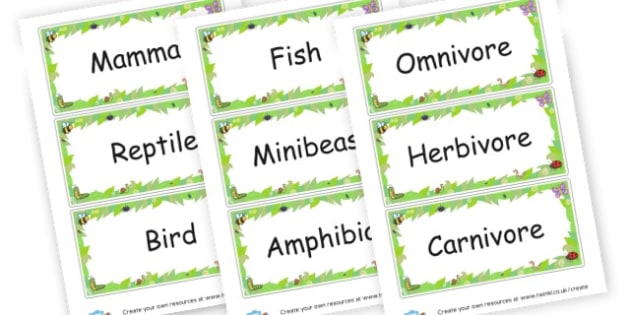 Animal category labels (teacher made)
