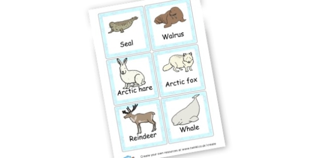 Winter Animals 2 Cards - Winter Literacy Primary Resources - The Seasons