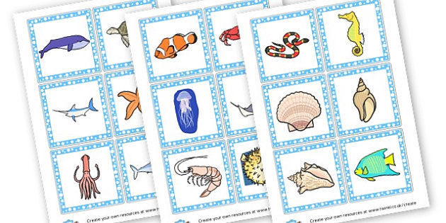 Under the Sea Animal Flashcards - Under the Sea Primary Resources - sea