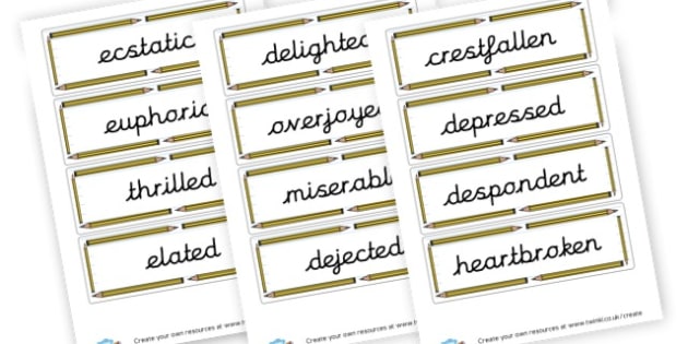 Feelings and Emotions Word Cards (teacher made)