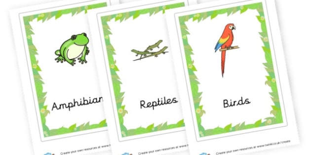 Animal Groups Cards (teacher made)