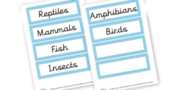 Animal Groups