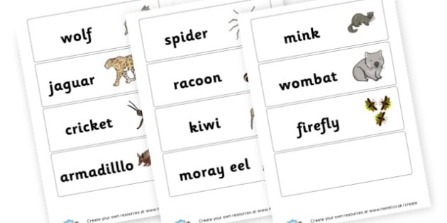 Nocturnal Animals Cards (Teacher-Made)
