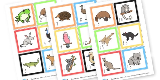 Numbered Cards (teacher made)