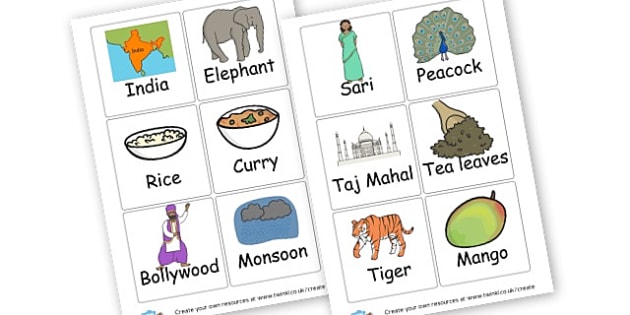 SEN India Vocab Cards (teacher made)
