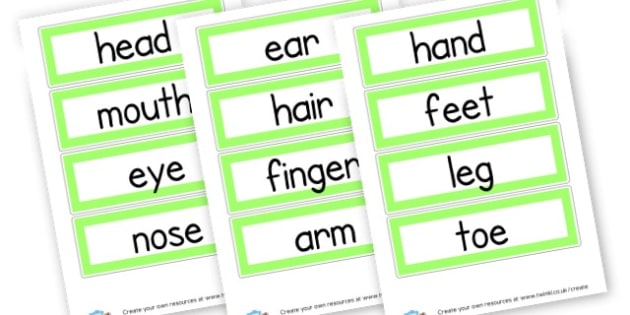 Body Parts Word Cards (teacher made)