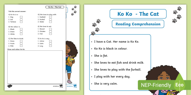 Ko Ko Reading Comprehension (Teacher-Made)
