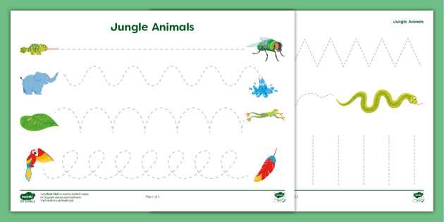 Jungle Pencil Control Sheets | Twinkl Originals