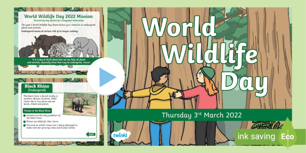 KS1 World Wildlife Day PowerPoint | Primary Resources