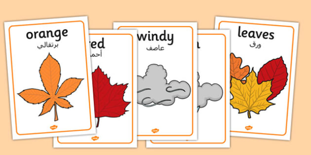 Autumn Display Posters Arabic Translation (teacher made)
