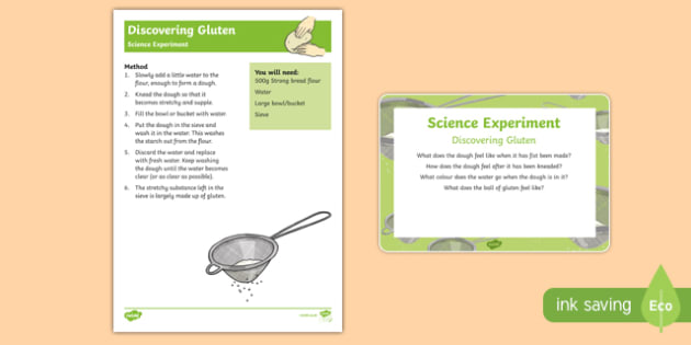 Kindergarten Discovering Gluten Science Experiment and Prompt Card Pack