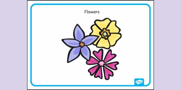 FREE! - Printable Flower Poster | Primary Resources