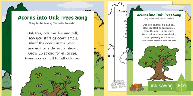 Oak Tree Poems for Children - Acorns Into Oak Trees Song