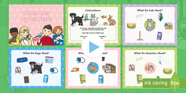 What Does My Pet Need? PowerPoint (teacher made)