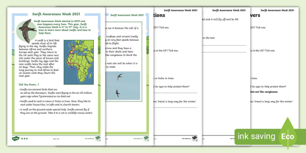 KS1 Swift Awareness Week Reading Comprehension Activity