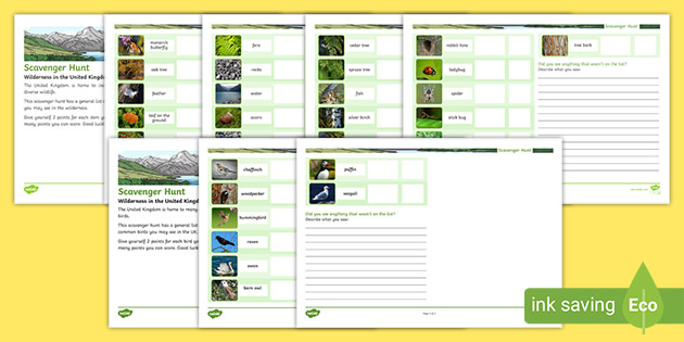 Nature Treasure Hunt - Nature Walk Worksheets (teacher made)