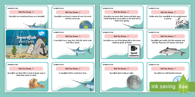 Swordfish Fact Cards (Teacher-Made)