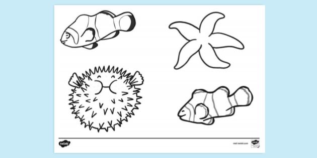 Detailed Fish Colouring | Colouring Sheets