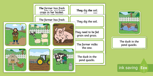 On the Farm Simple Sentence Matching Activity (teacher made)