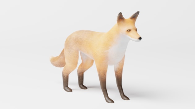 3D Model: Mammals - Fox (teacher made)