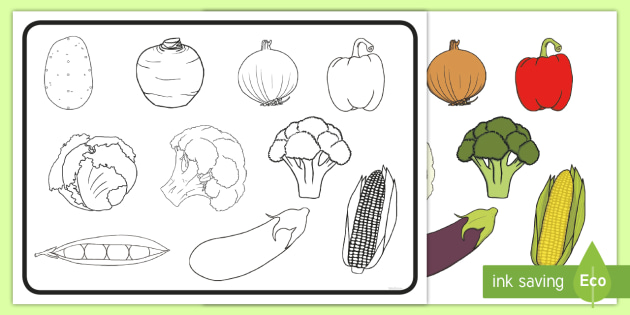 Vegetable Matching Activity Stations