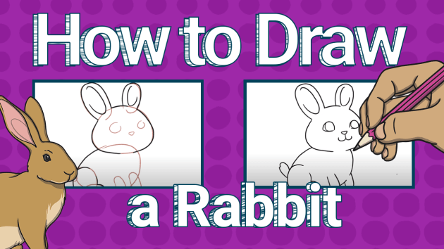 How to Draw a Rabbit | Twinkl Kid's TV (Teacher-Made)