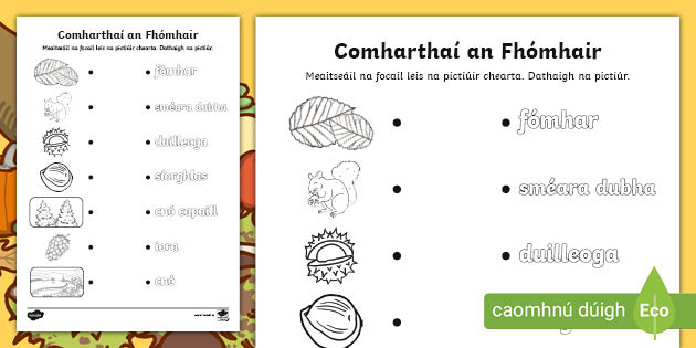 A Sense of Autumn Word and Picture Matching Worksheet Gaeilge