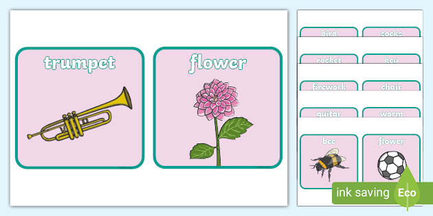 Sound Sources Sorting Game - Science (teacher made)