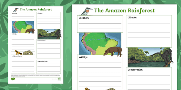 Amazon Rainforest Worksheets Rainforest Quiz ESL Worksheet By Guli