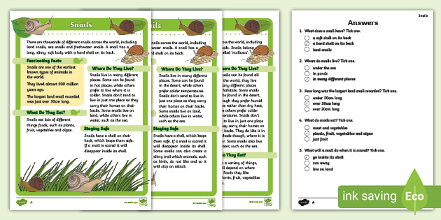 Snail Reading Comprehension - Snail Habitats (teacher made)